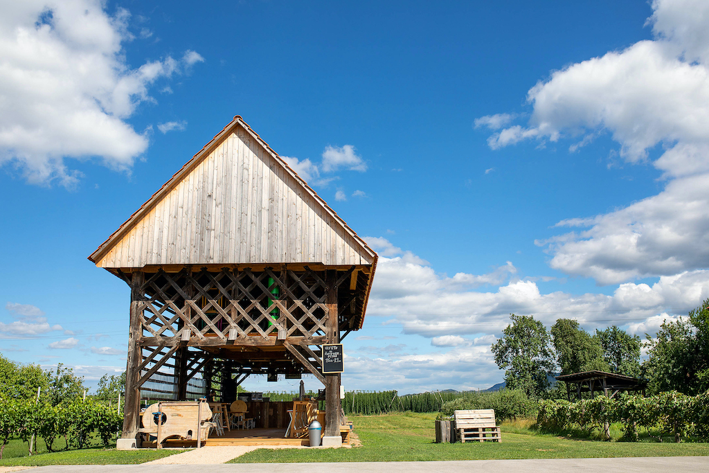 Clef Brewery: piva, poimenovana po slovenski glasbi - Demokracija